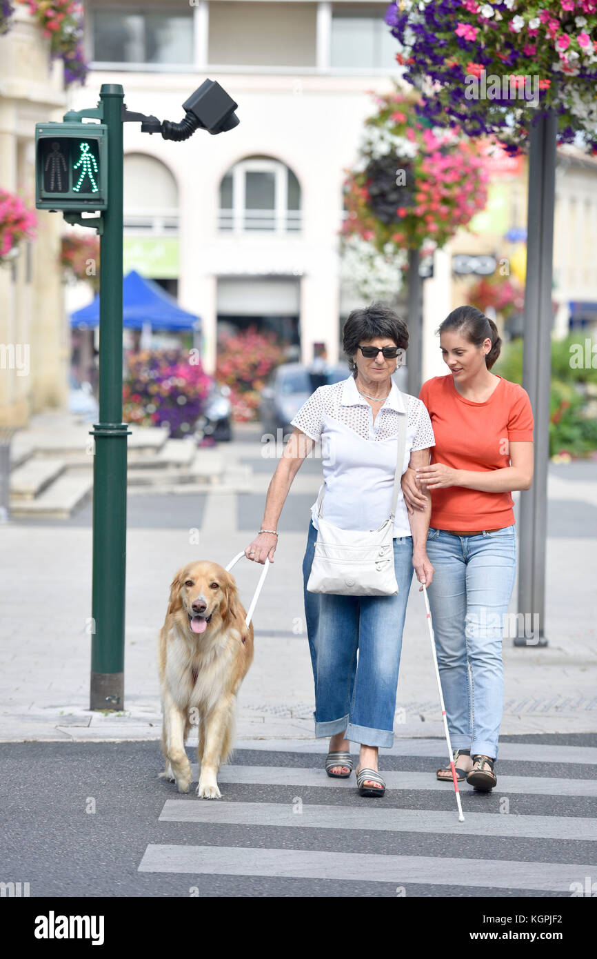 Blind assistant hi-res stock photography and images - Alamy