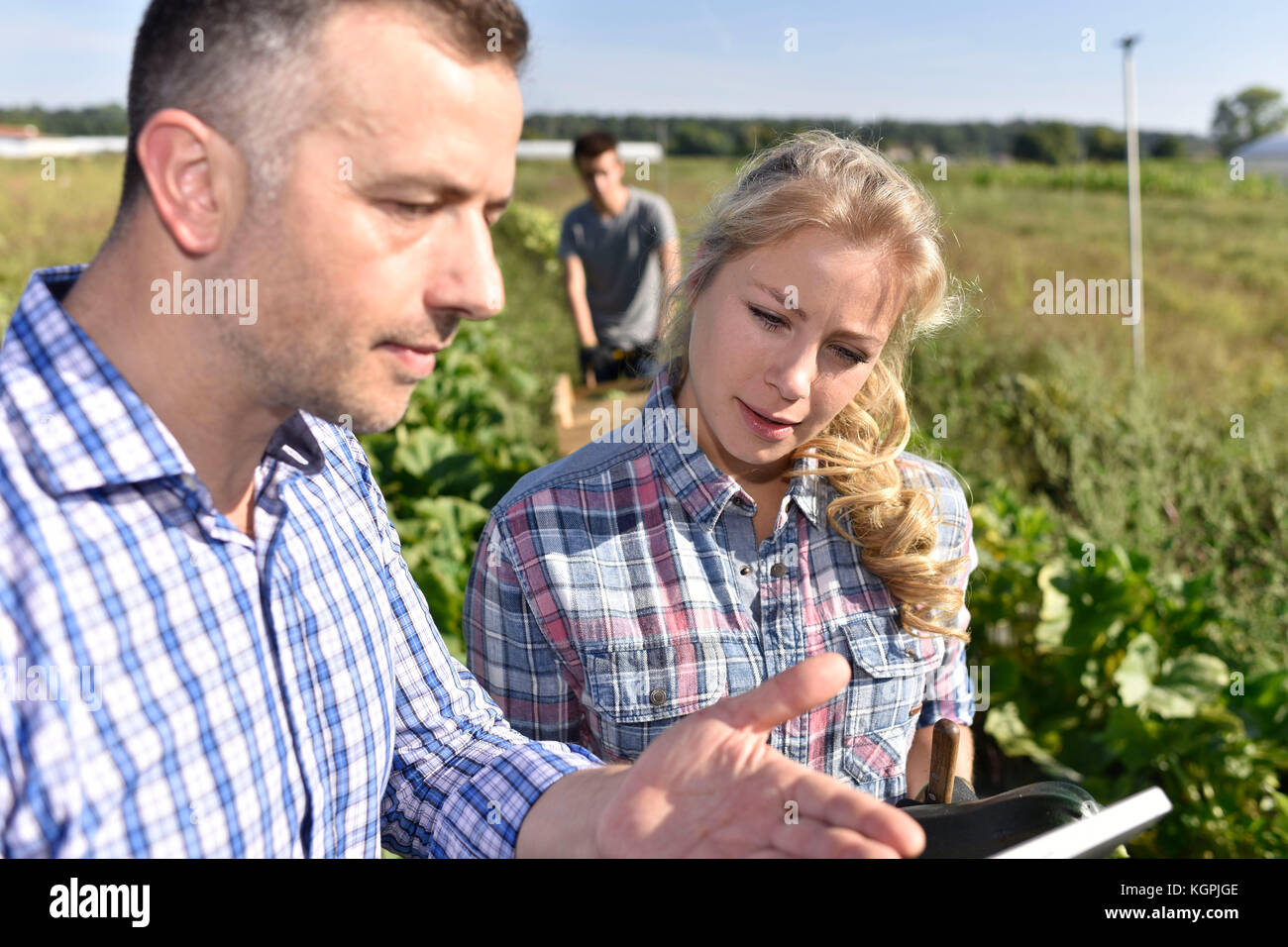 Apprenticeship market hi-res stock photography and images - Alamy