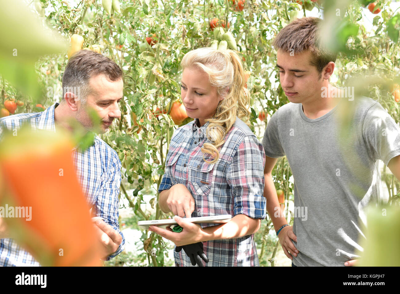 Students in agriculture learning about organic greenhouse Stock Photo ...