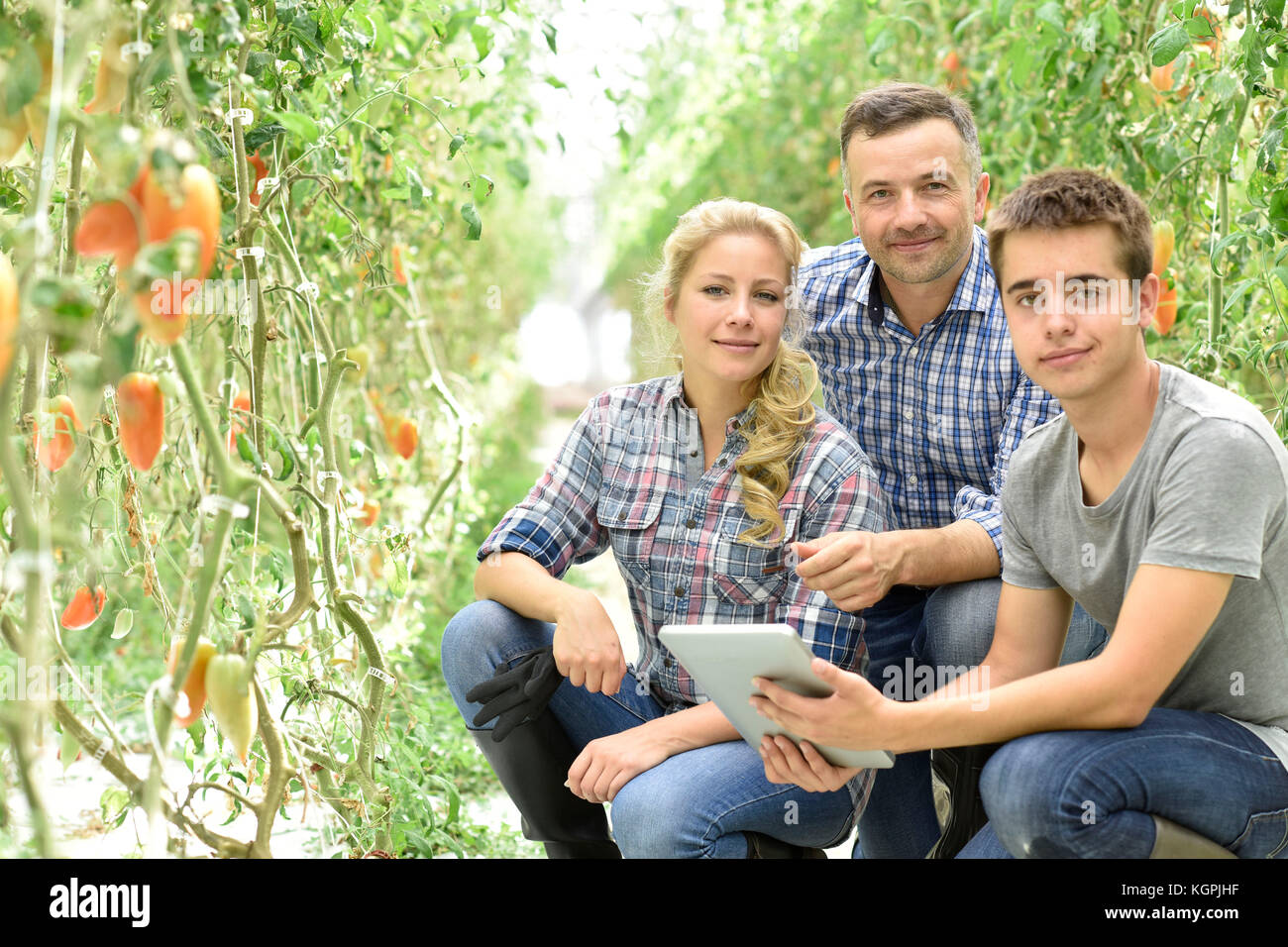 Students in agriculture learning about organic greenhouse Stock Photo ...