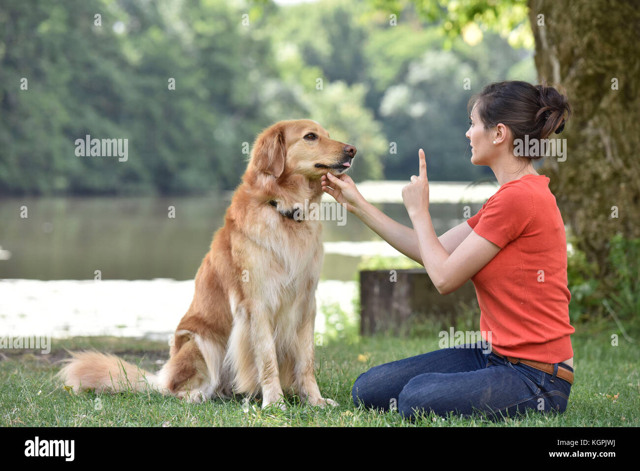 Woman training dog hi-res stock photography and images - Alamy