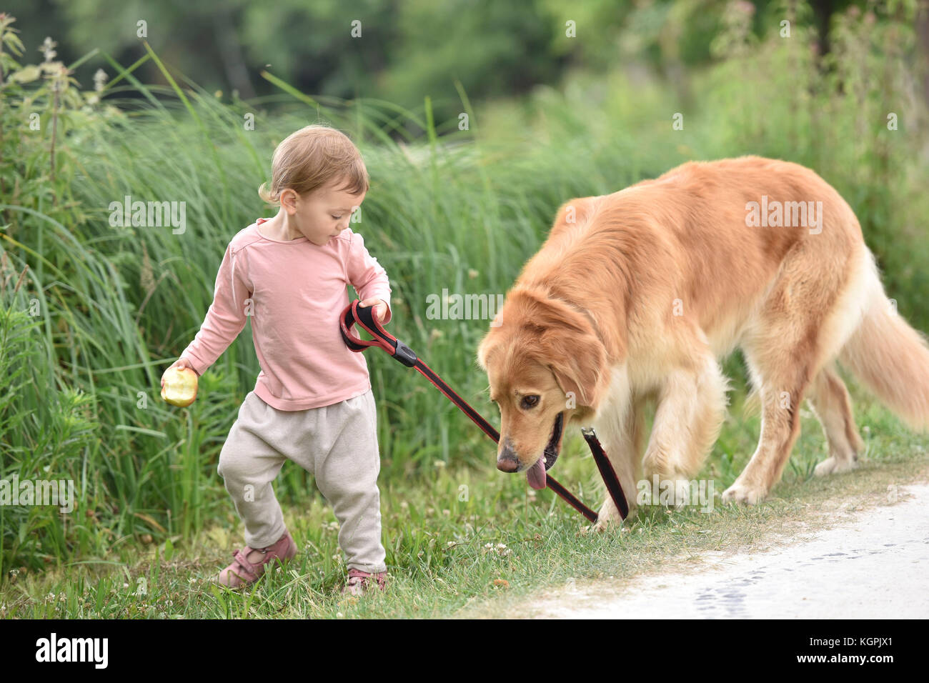 How Do You Walk A Dog With A Baby