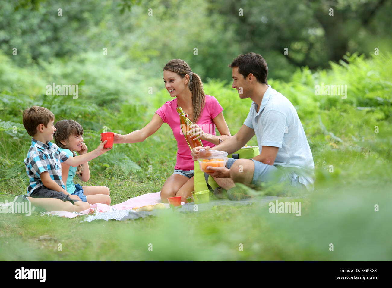 Family picnic time in countryside Stock Photo - Alamy