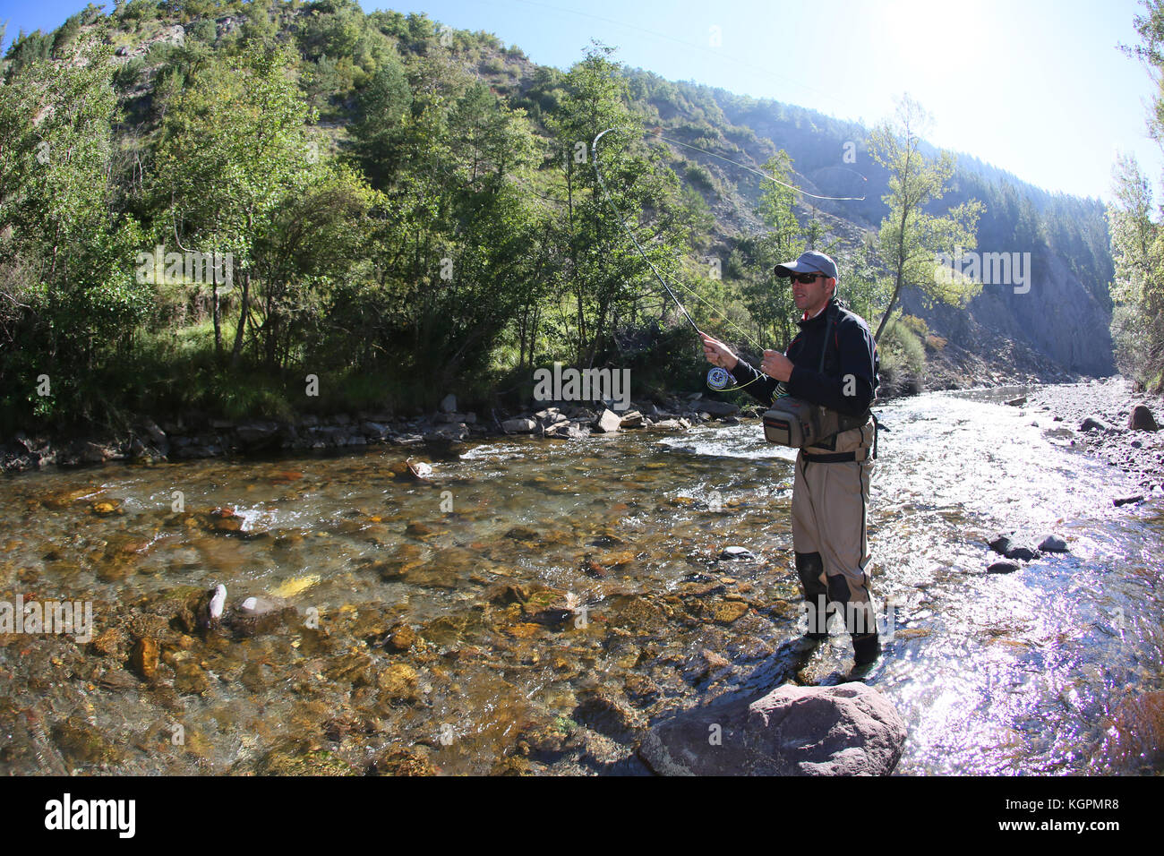 Fly fisherman using flyfishing rod in beautiful river Stock Photo - Alamy