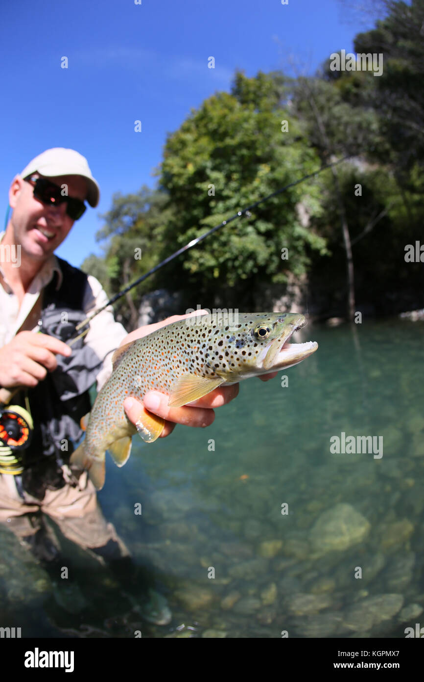 Fly fisherman holding fario trout recently caught Stock Photo - Alamy