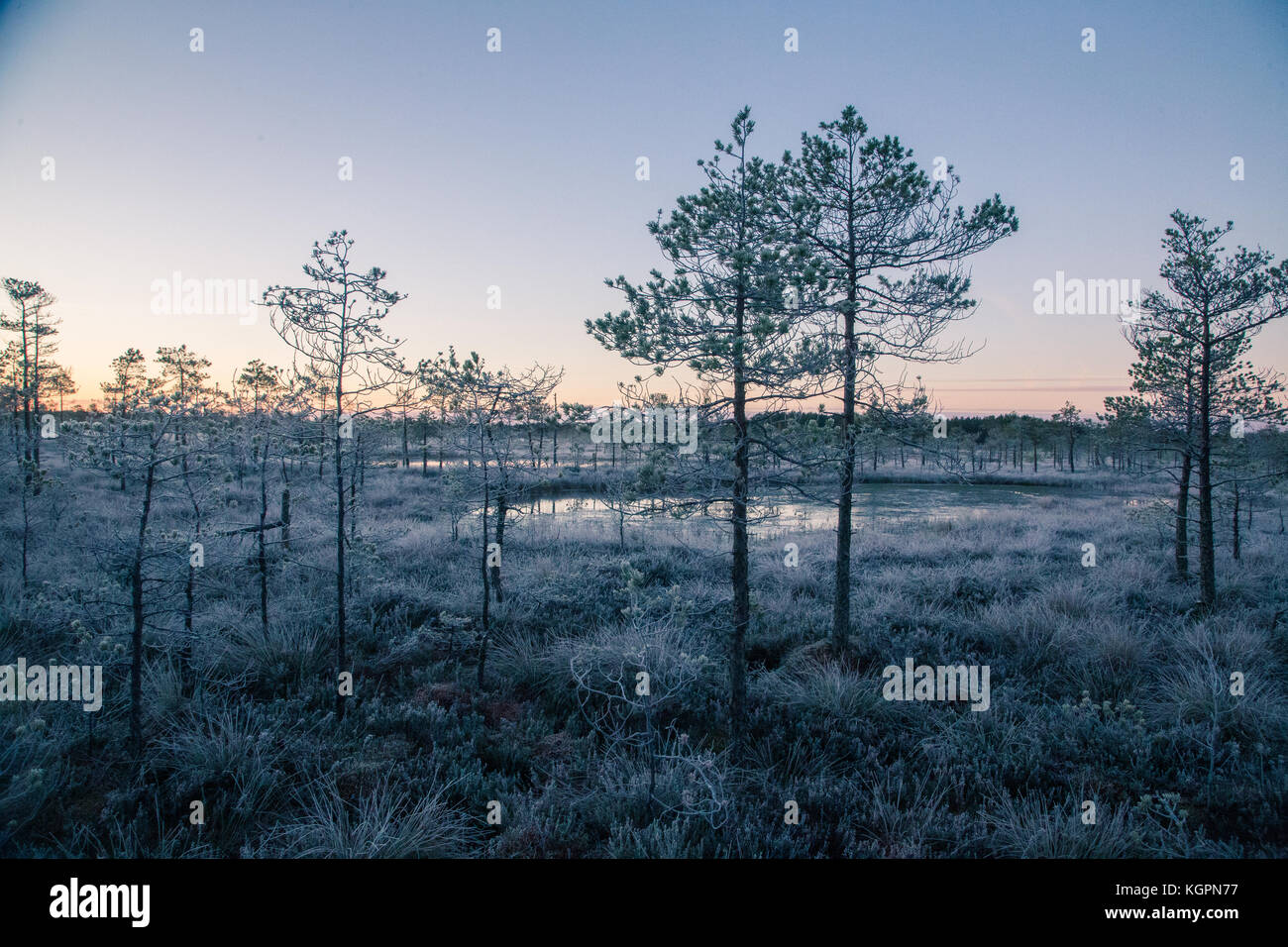 Quagmire landscape hi-res stock photography and images - Alamy