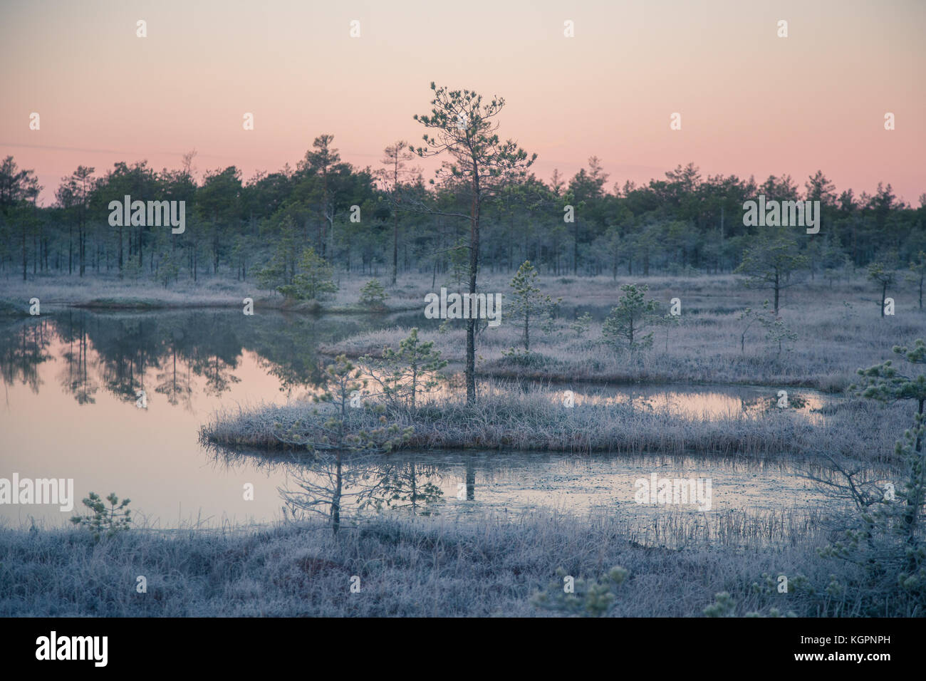 Quagmire landscape hi-res stock photography and images - Alamy
