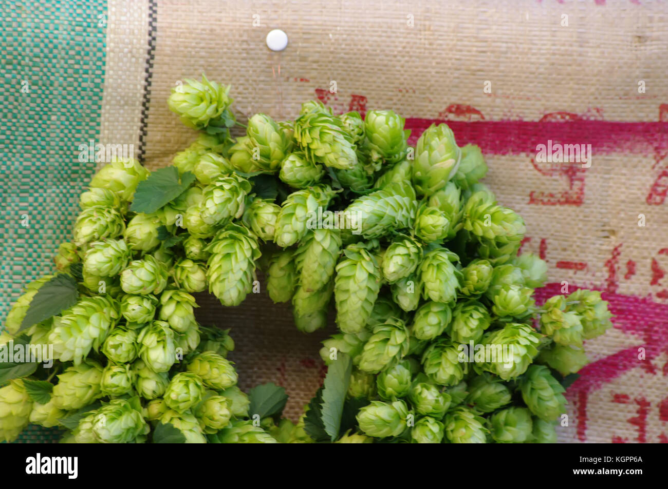 Hop products hi-res stock photography and images - Alamy