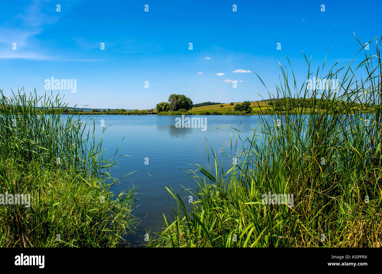 Photo of nature around beautiful blue lake at summer Stock Photo - Alamy
