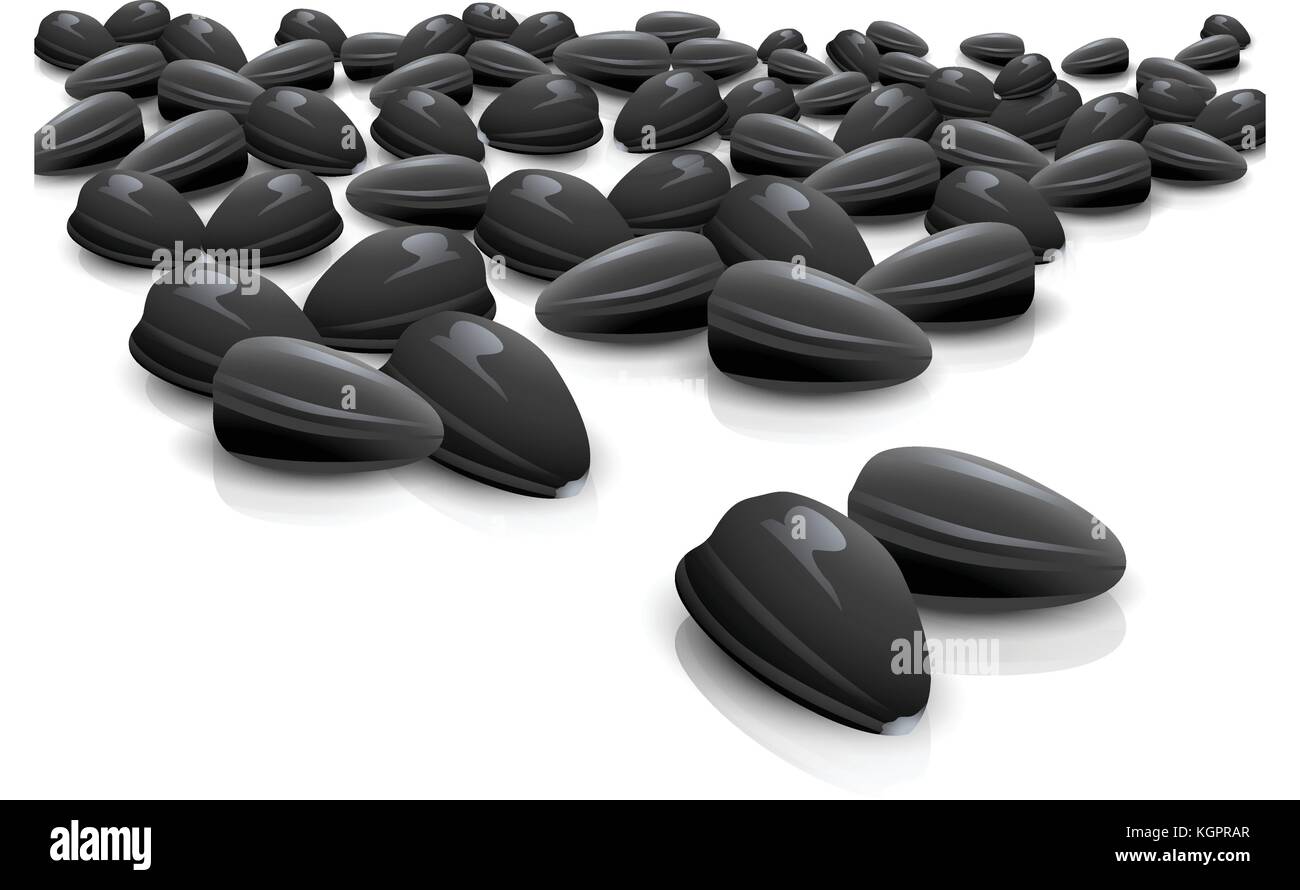 Black seeds oil Stock Vector Images - Alamy