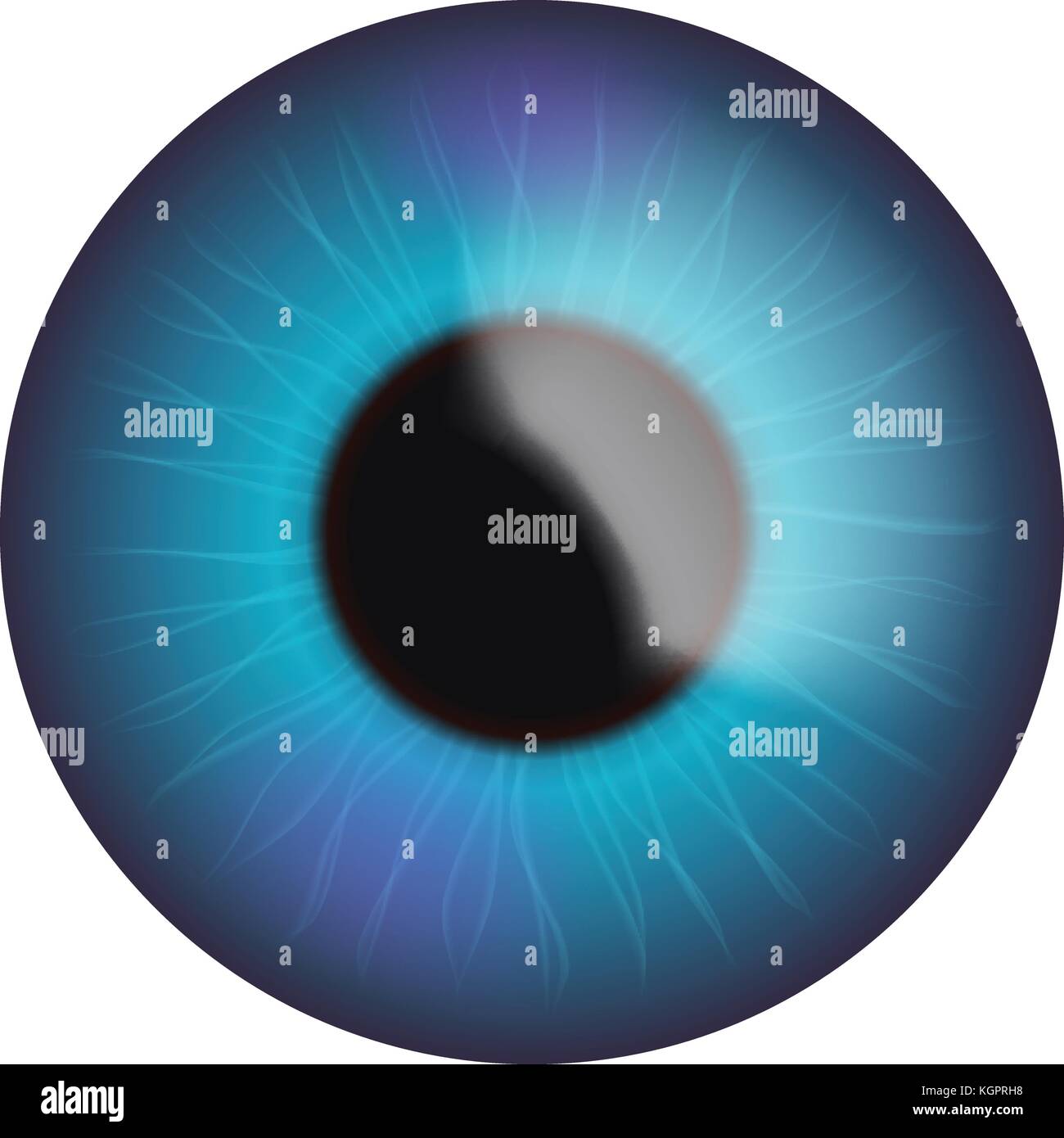 blue eye on white Stock Vector Image & Art - Alamy