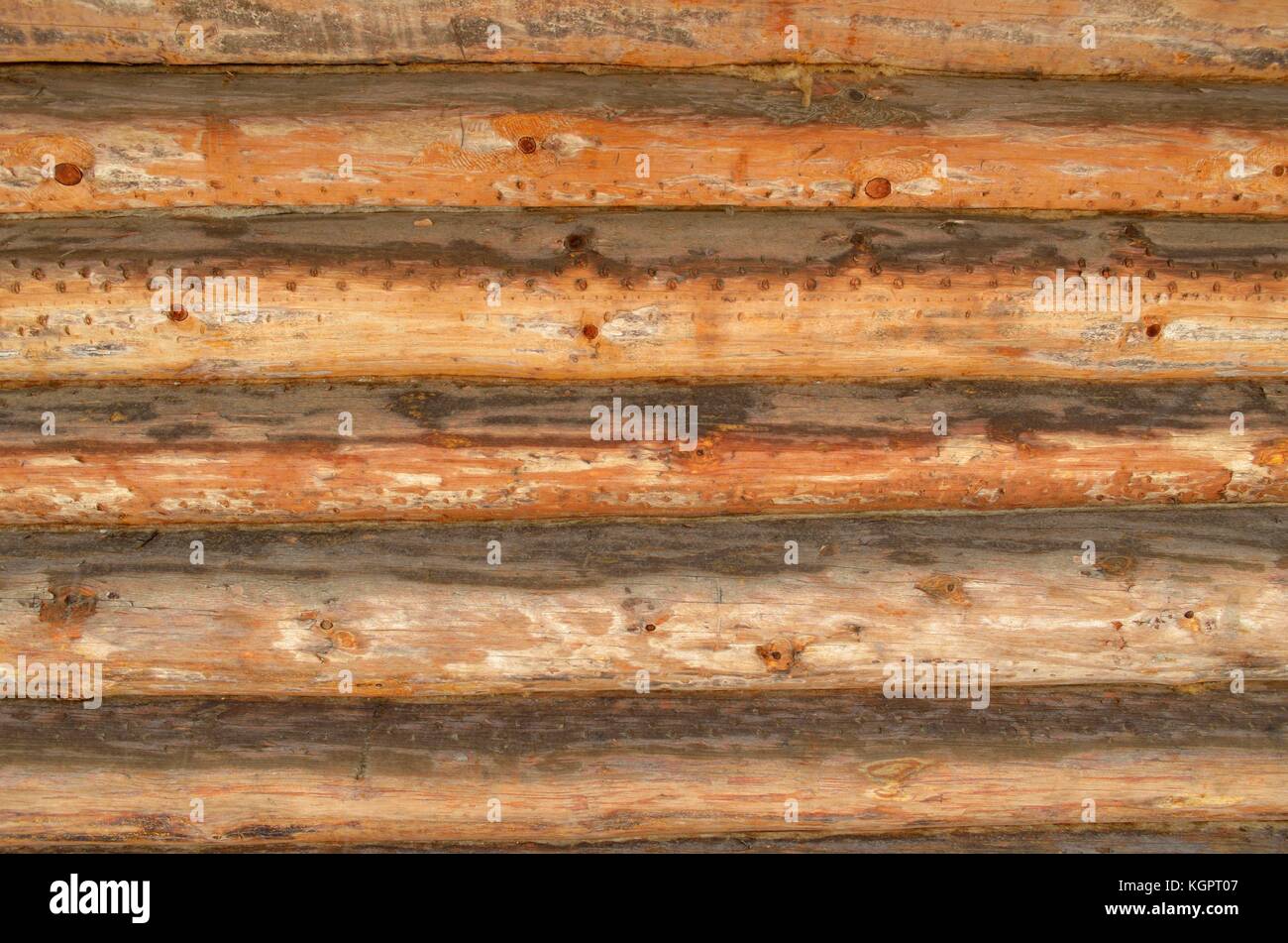 Village hut built of pine logs,clean material Stock Photo - Alamy
