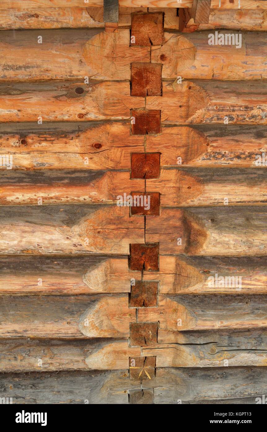 The connection of the pine logs in the wall of a village house Stock ...