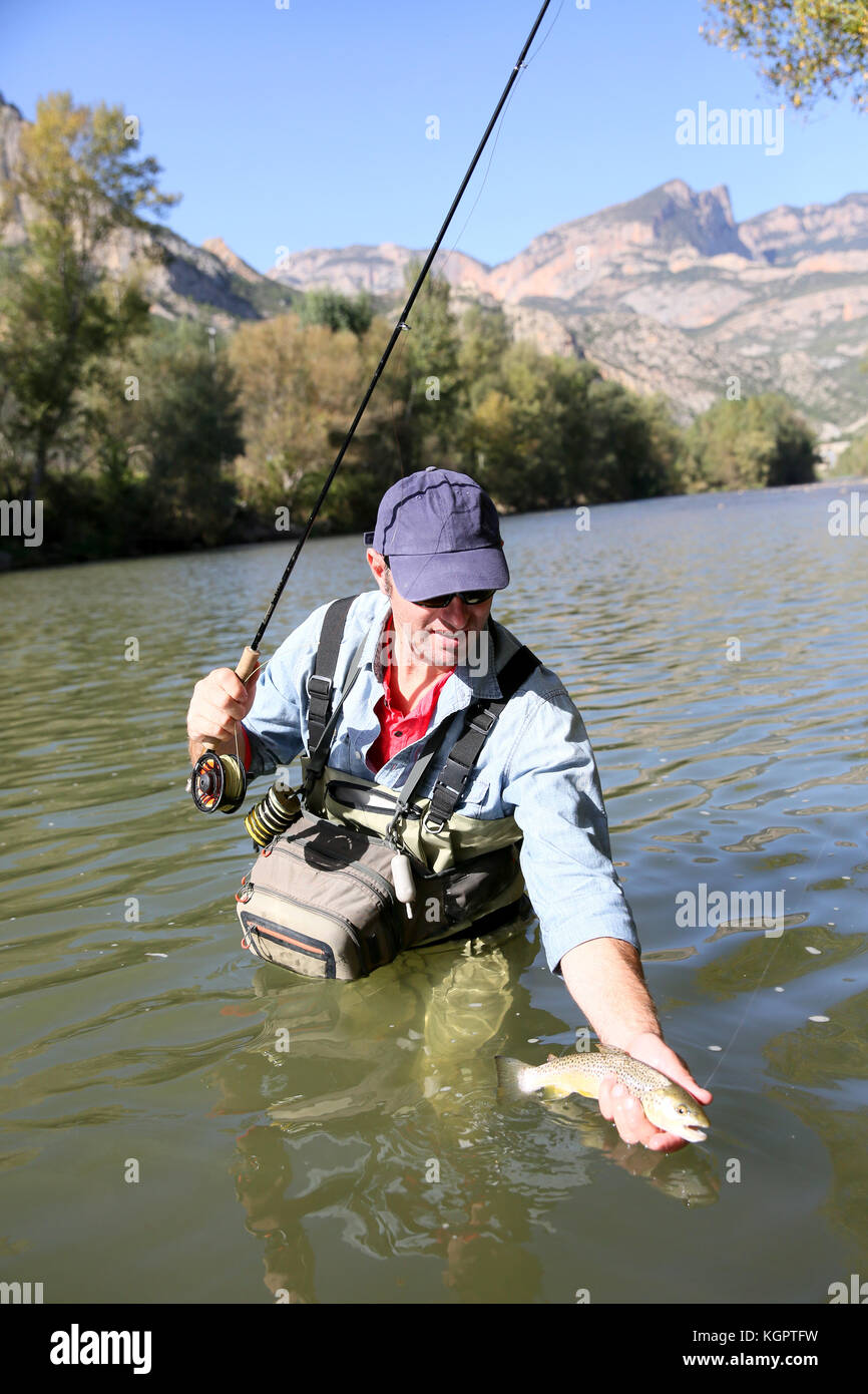 Closeup of fly fisherman releasing trout in river Stock Photo - Alamy
