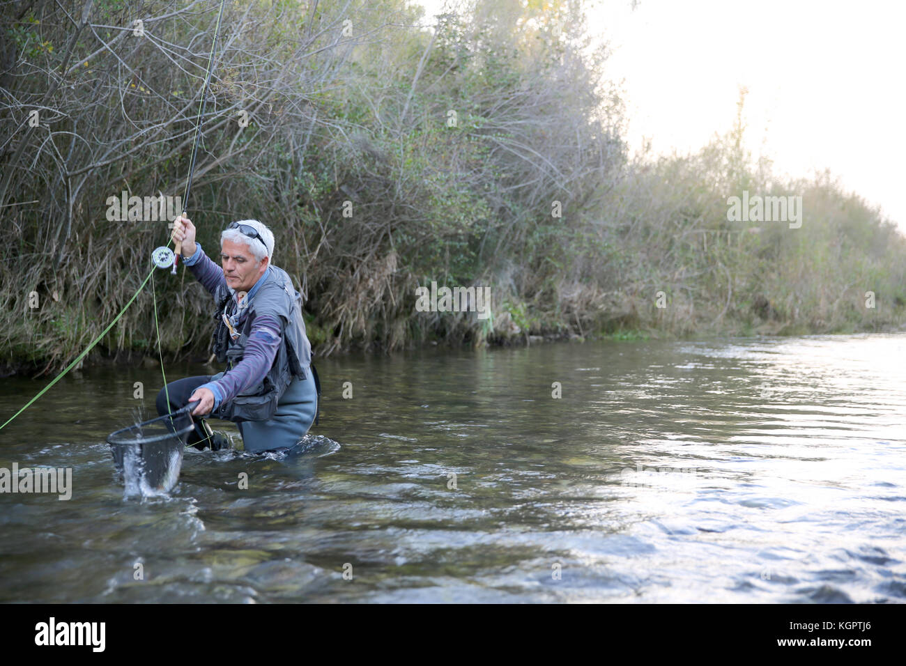 Fly fisherman catching trout in landing net Stock Photo - Alamy
