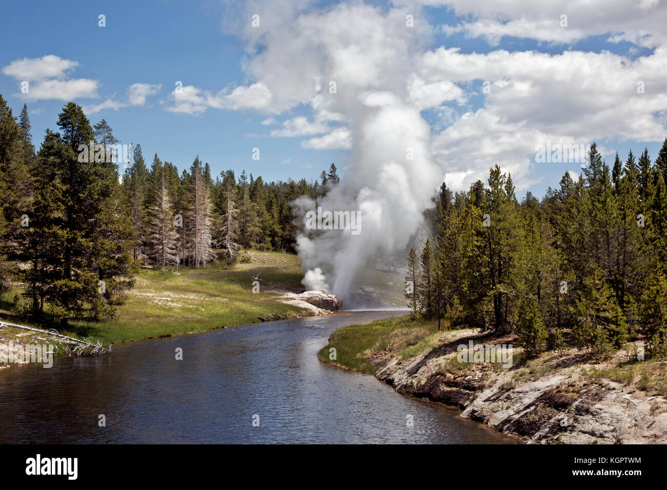 Riverside Geyser located on the Firehole River of Yellowstone National ...