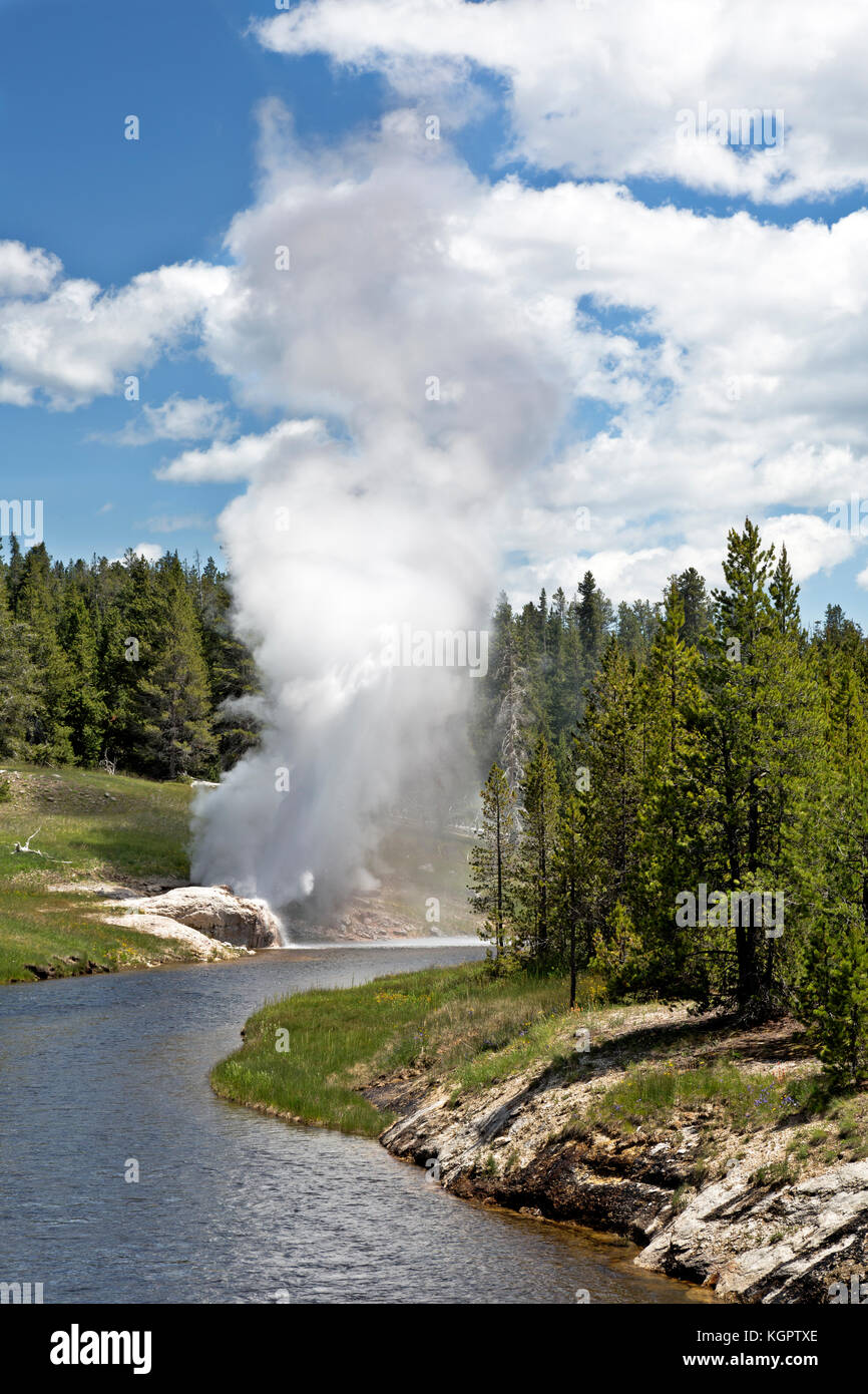 Riverside Geyser located on the Firehole River of Yellowstone National ...