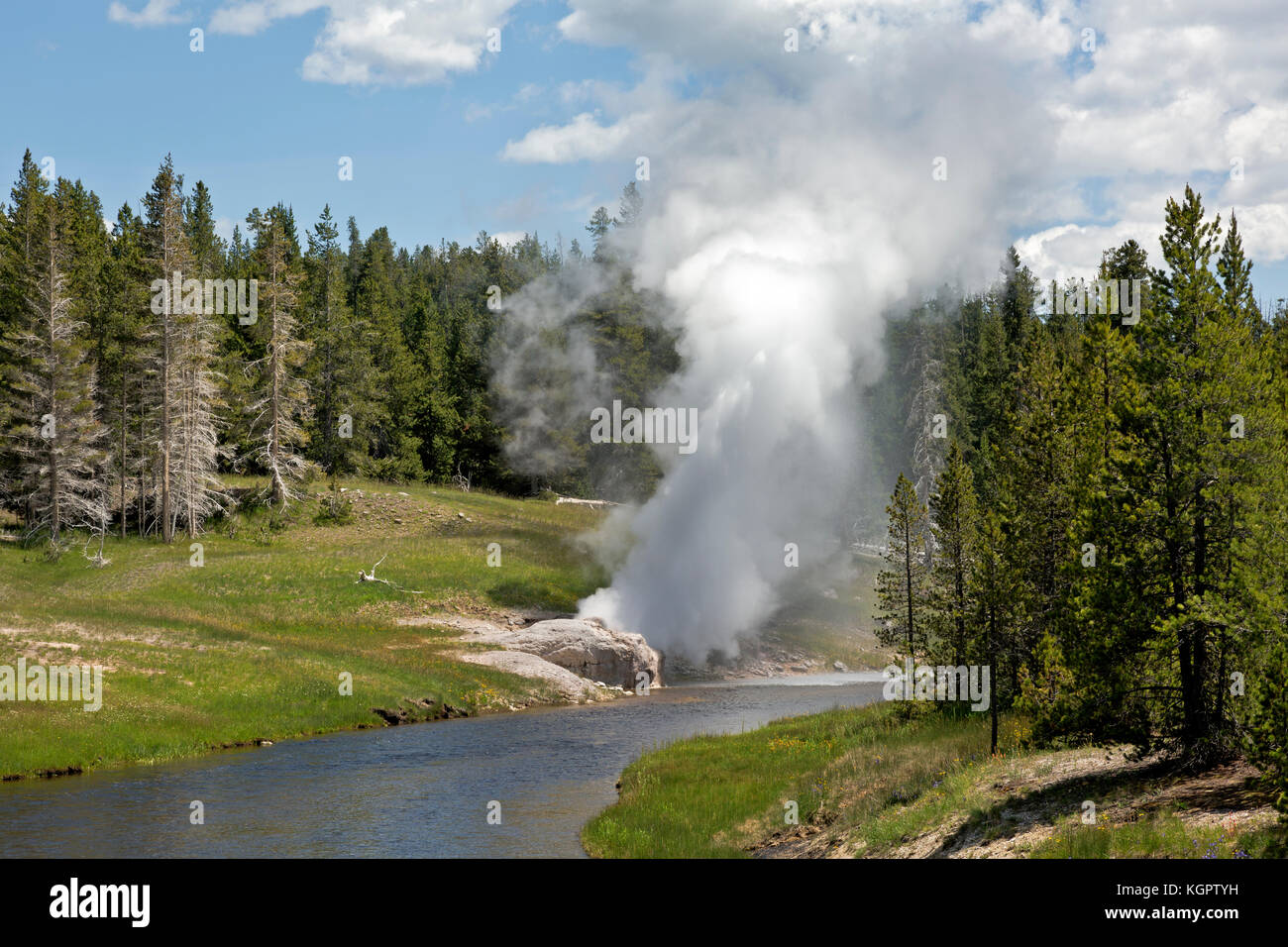 Riverside Geyser located on the Firehole River of Yellowstone National ...