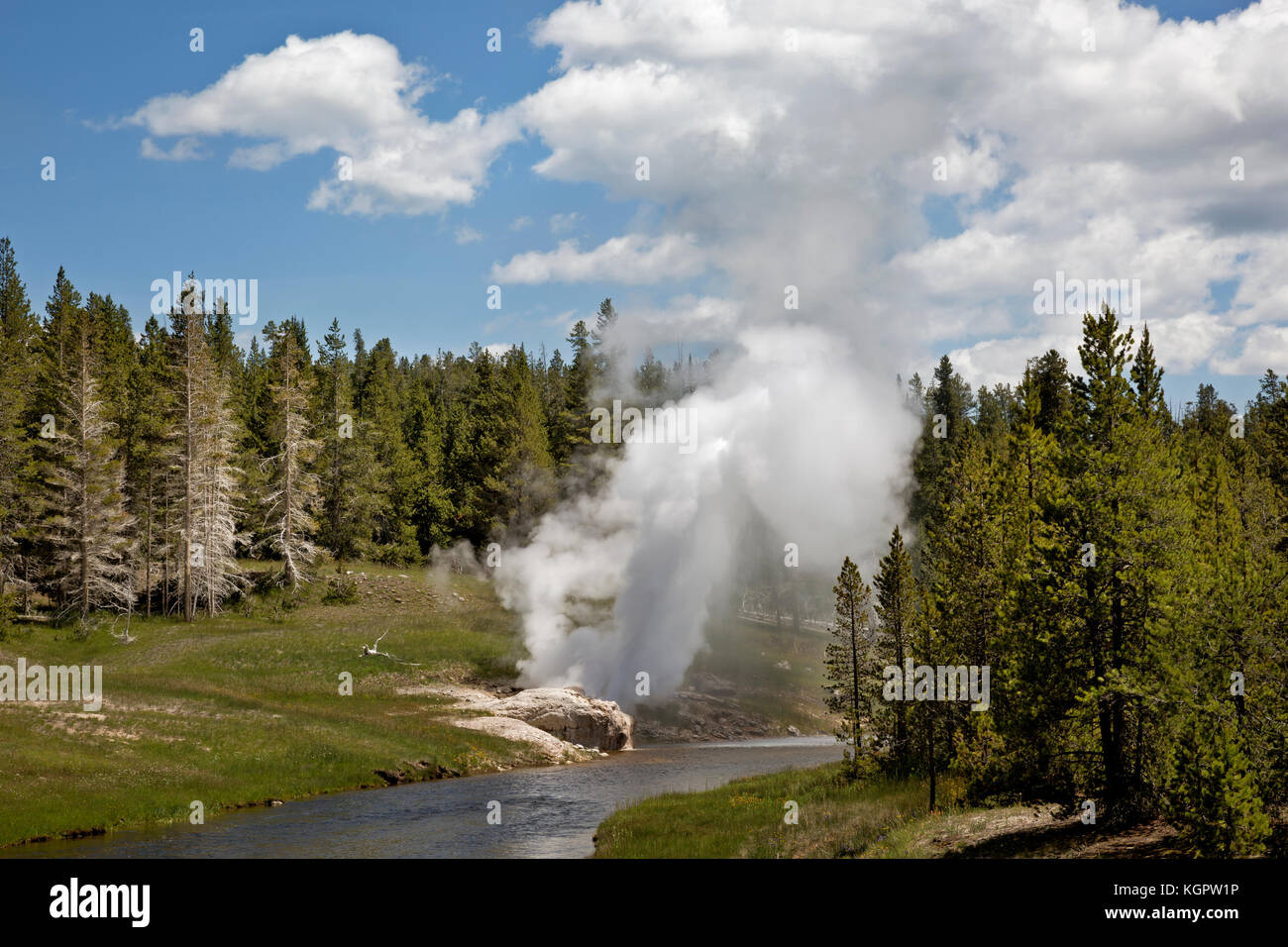 Riverside Geyser located on the Firehole River of Yellowstone National ...