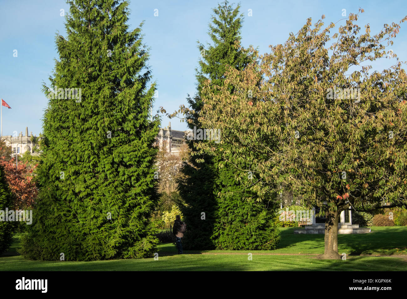 Welsh Alexandra Gardens High Resolution Stock Photography and Images ...