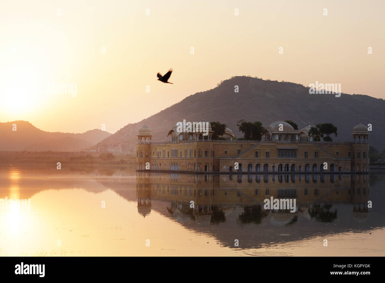 Bird flying over Jal Mahal, Jaipur, Rajastan, India Stock Photo - Alamy