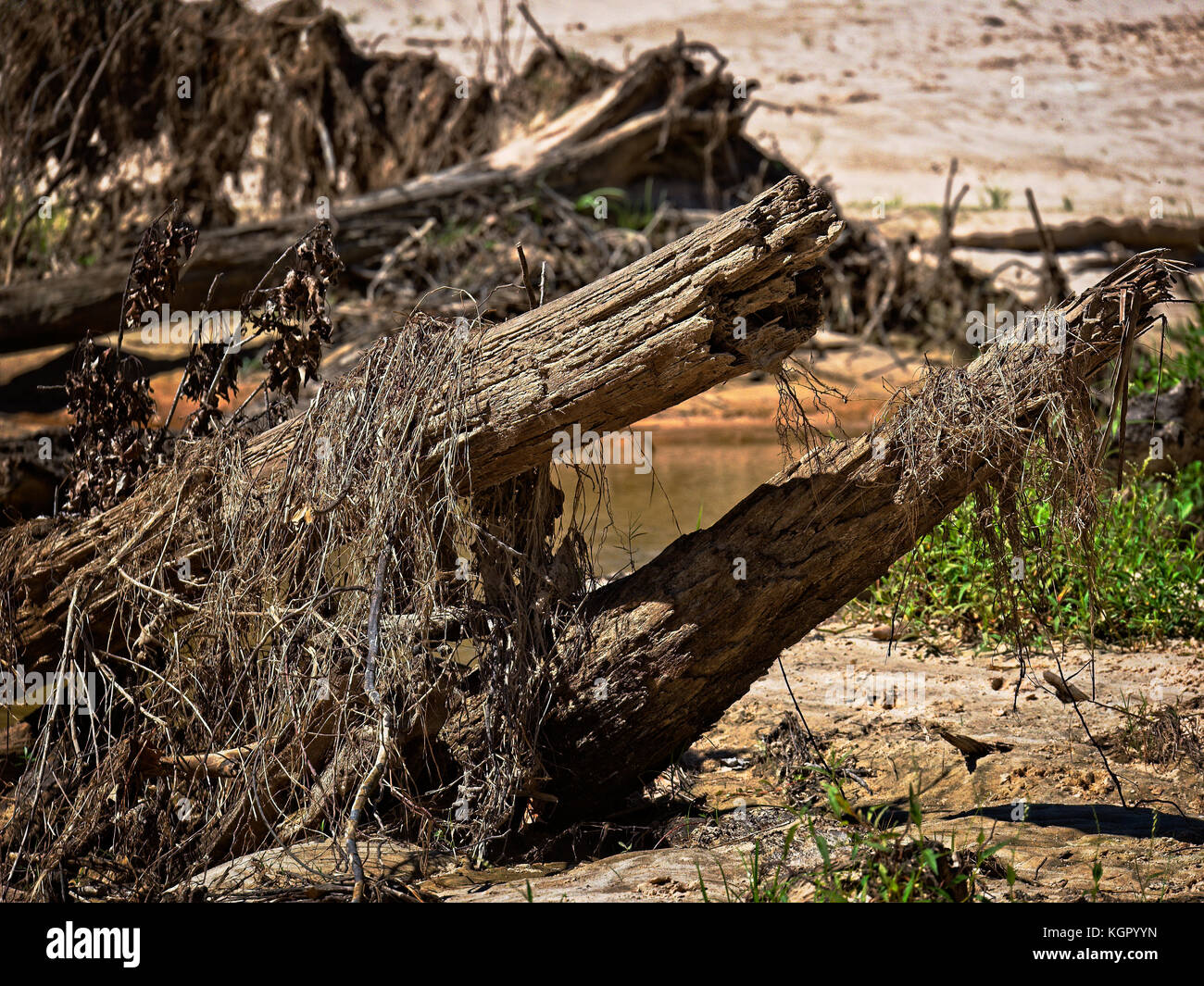 Spring at the creek hi-res stock photography and images - Alamy