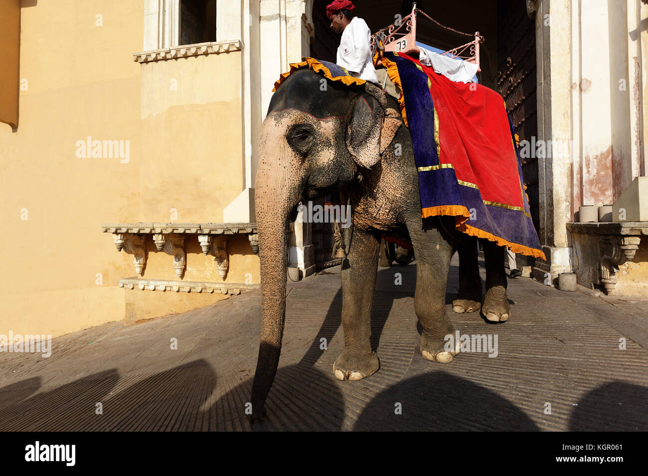 Riding elephants at Amer Fort, Jaipur, Rajasthan, India Stock Photo - Alamy