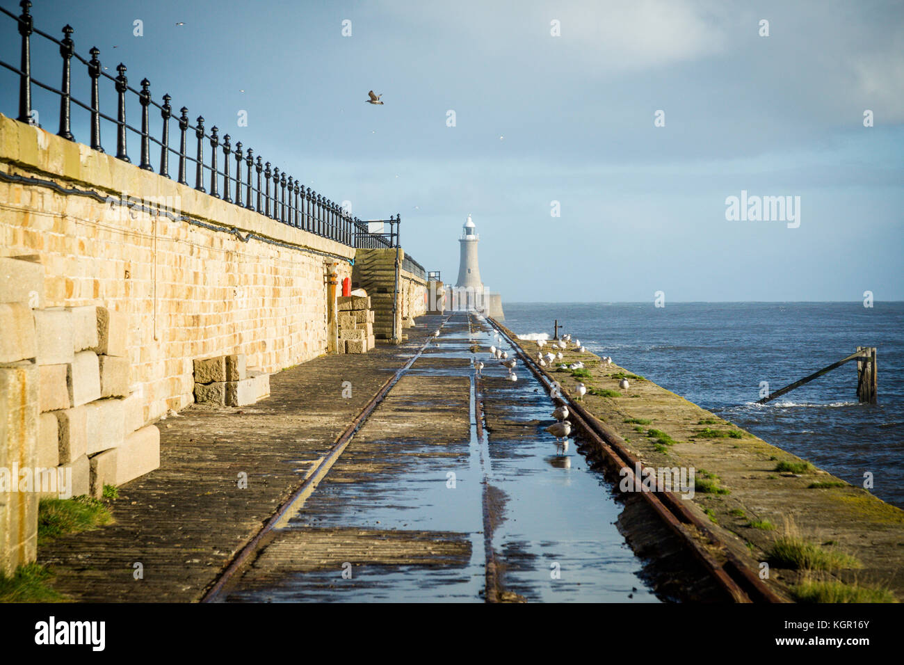 Tynemouth north pier lighthouse hi-res stock photography and images - Alamy