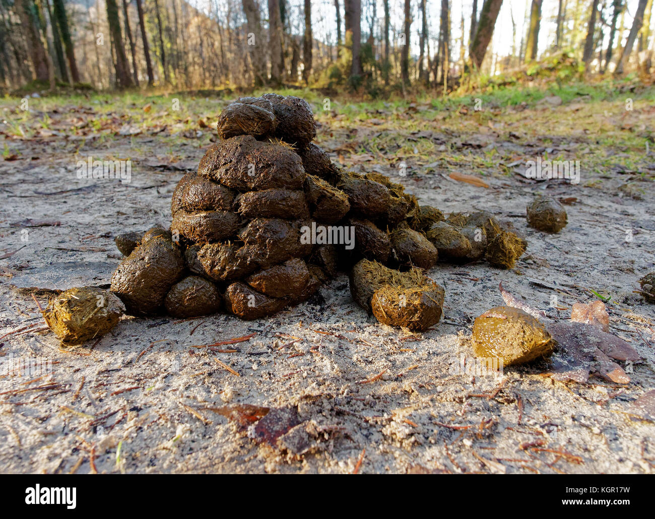Dung Manure Fertilizer Stock Photos & Dung Manure Fertilizer Stock ...