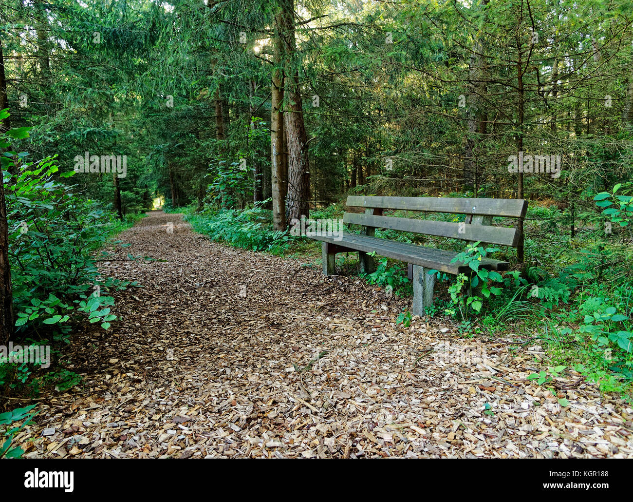 a parkbench on roadside Stock Photo - Alamy
