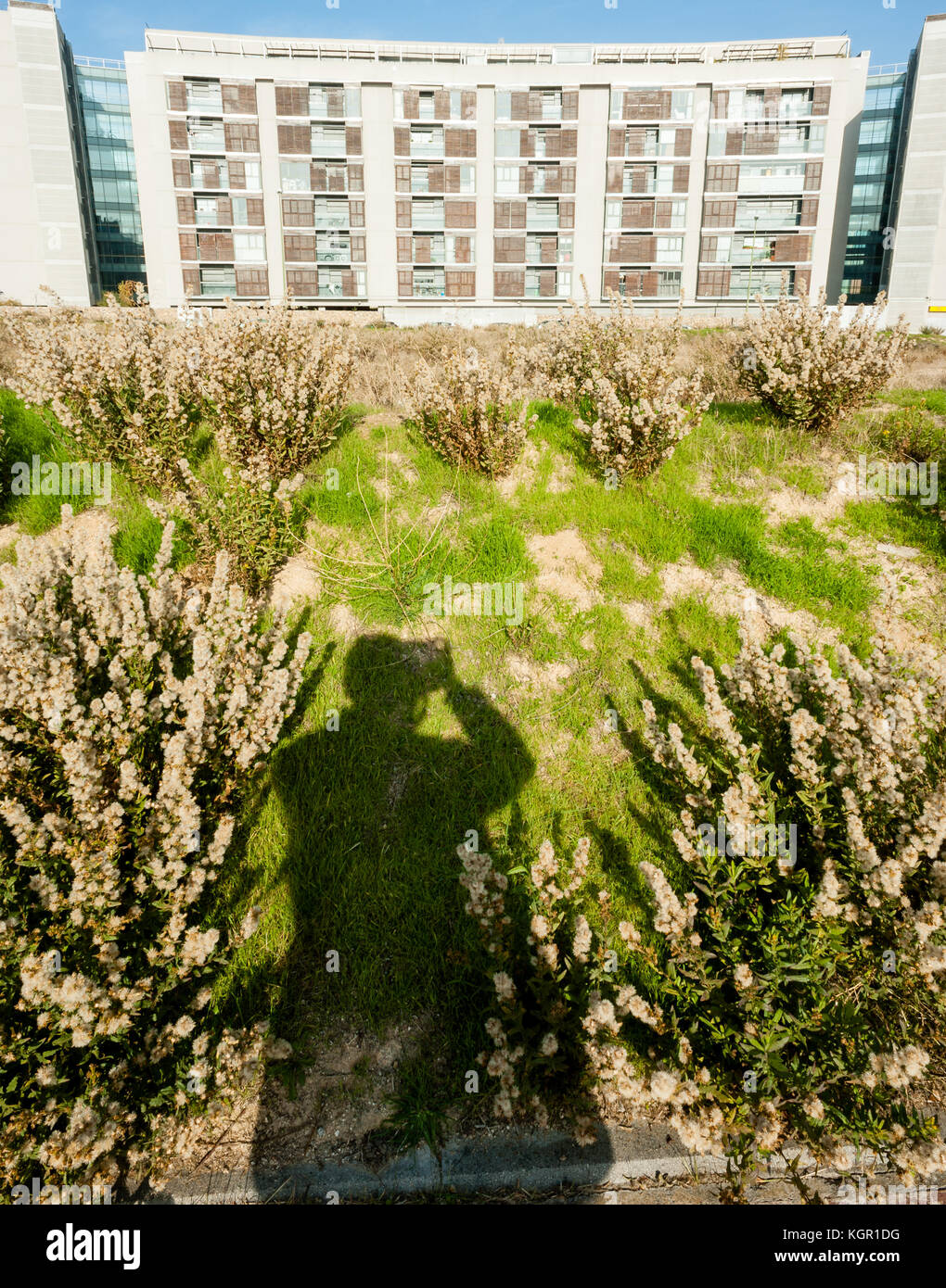 Shadow landscape hi-res stock photography and images - Alamy