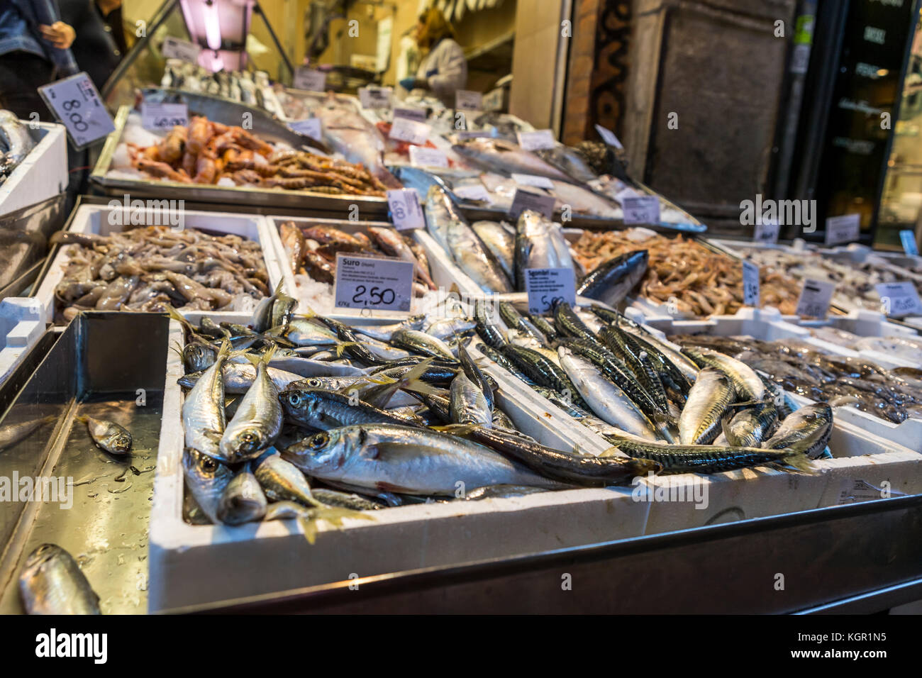 Famous Pescheria Brunelli fishmongers on Via Drapperie, Bologna city ...