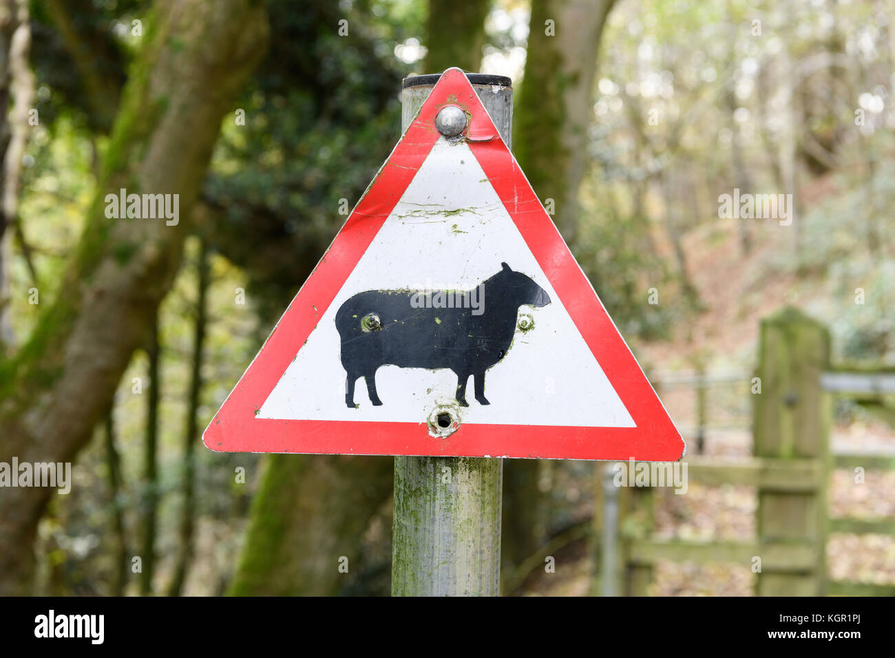 Sign with a sheep Stock Photo - Alamy