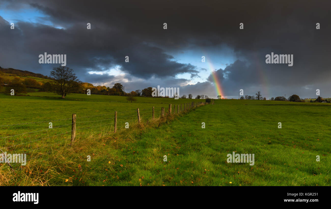 Rainbow in a field Stock Photo - Alamy