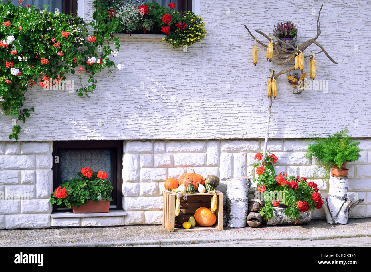Summer pot displays hi-res stock photography and images - Alamy