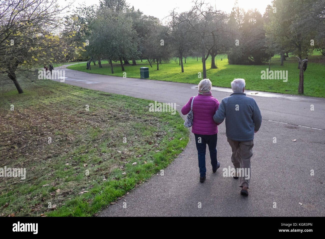 Bute Park,Autumn,fall,foliage,trees,green,greenery,green spaces,Cardiff ...