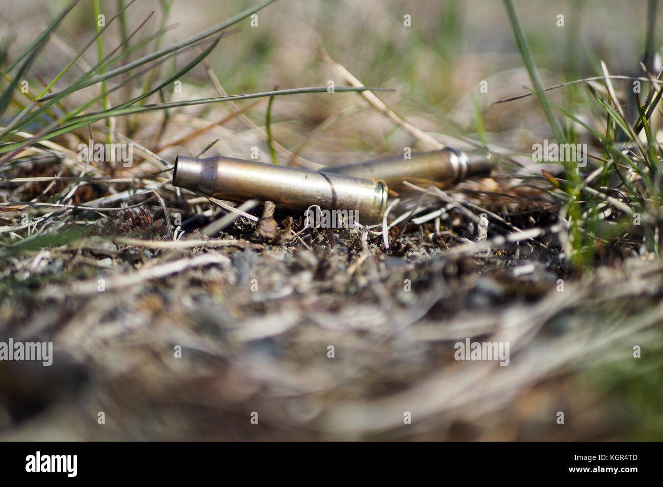 Expended 5.56mm casings Stock Photo - Alamy