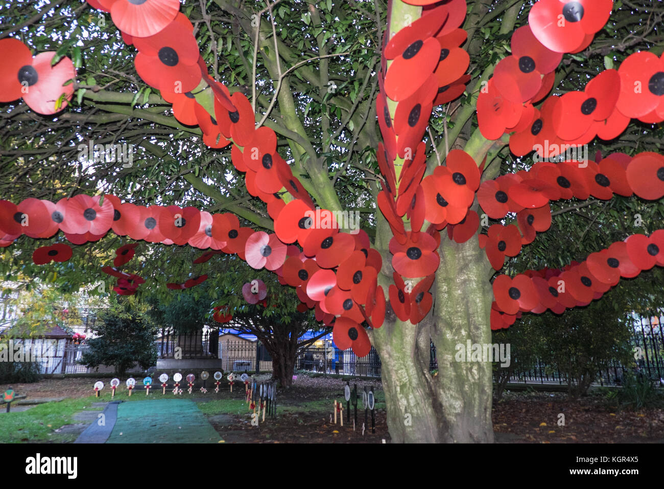 Giant,poopy,Poppies,attached,to,tree,Remembrance,Sunday,Armistice,Day ...