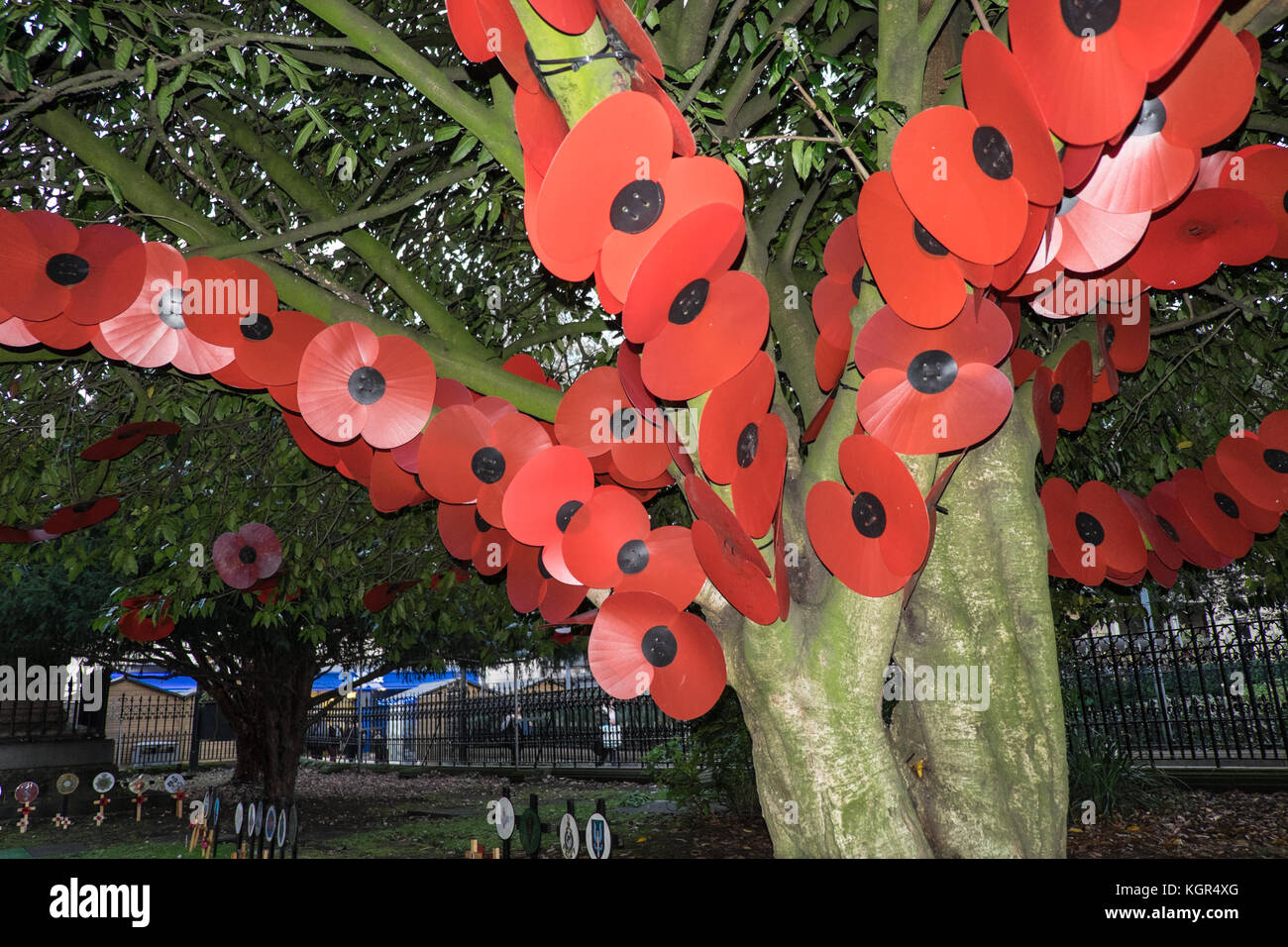 Giant,poopy,Poppies,attached,to,tree,Remembrance,Sunday,Armistice,Day ...