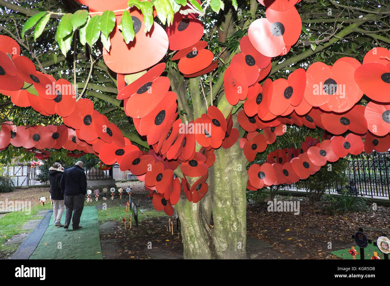 Giant,poopy,Poppies,attached,to,tree,Remembrance,Sunday,Armistice,Day ...