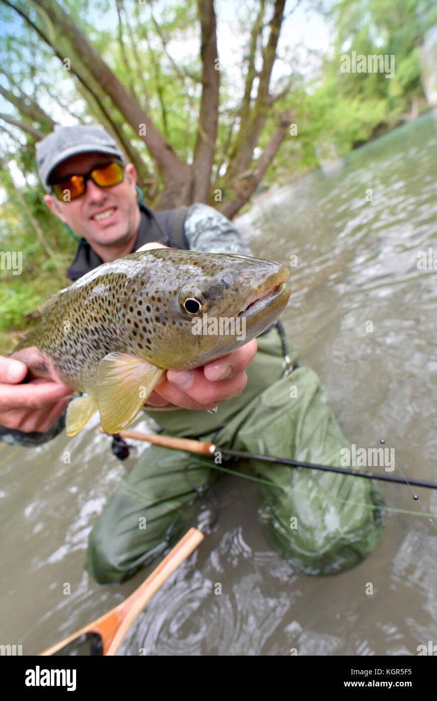 Fly-fisherman holding fario trout caught in river Stock Photo - Alamy
