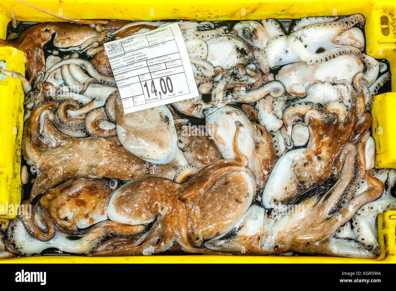 Octopus at market hi-res stock photography and images - Alamy