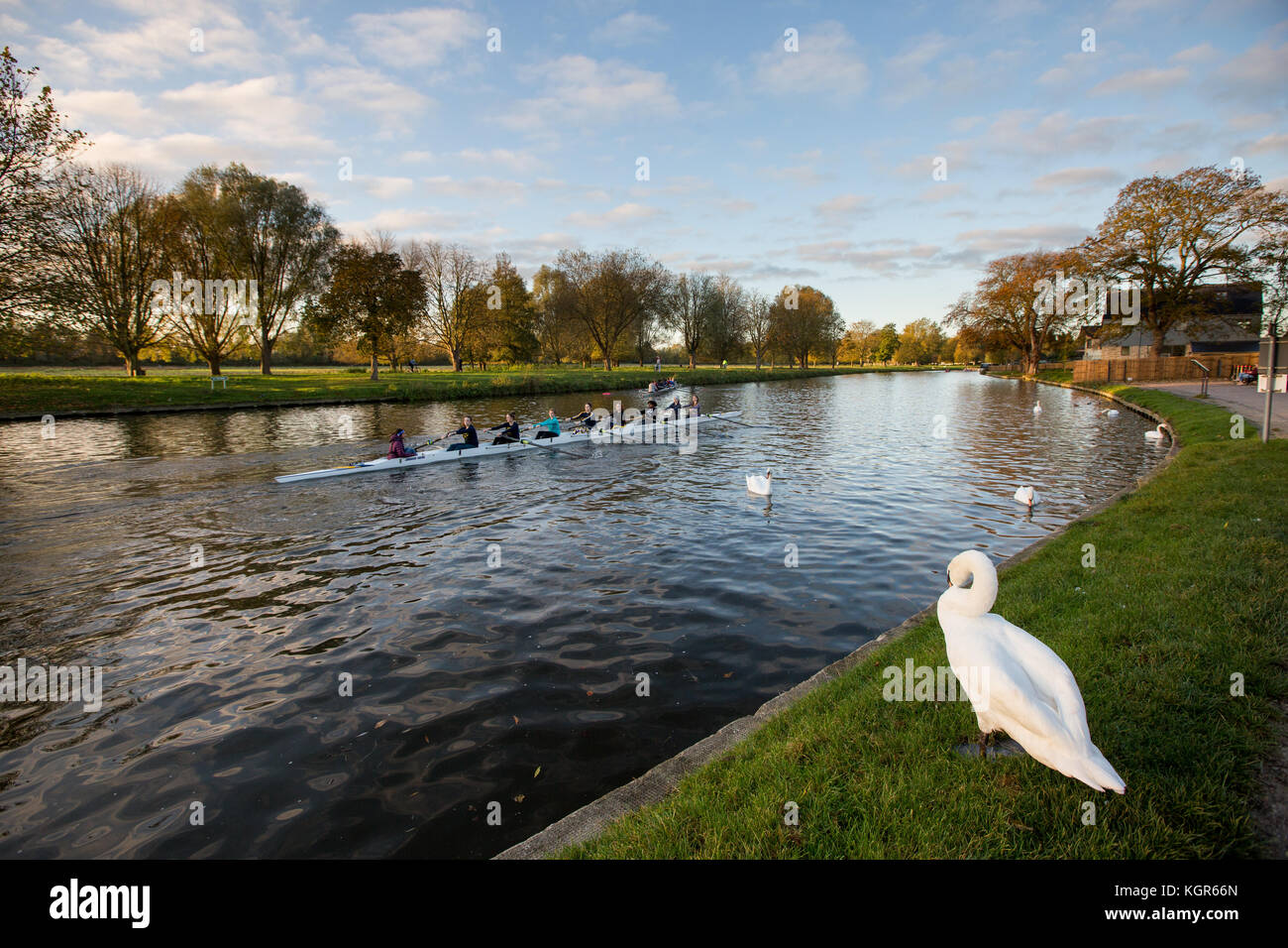 Cambridge University students rowing on the River Cam in Cambridge at ...