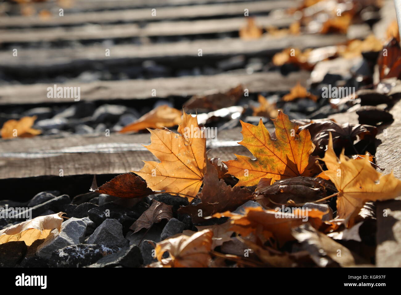 Train tracks in Fall Stock Photo - Alamy