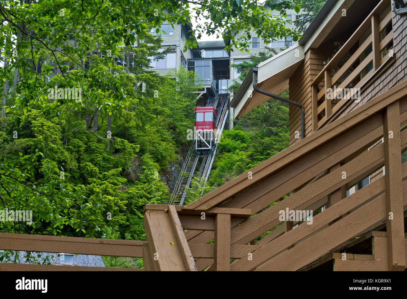 Cape fox funicular hi-res stock photography and images - Alamy