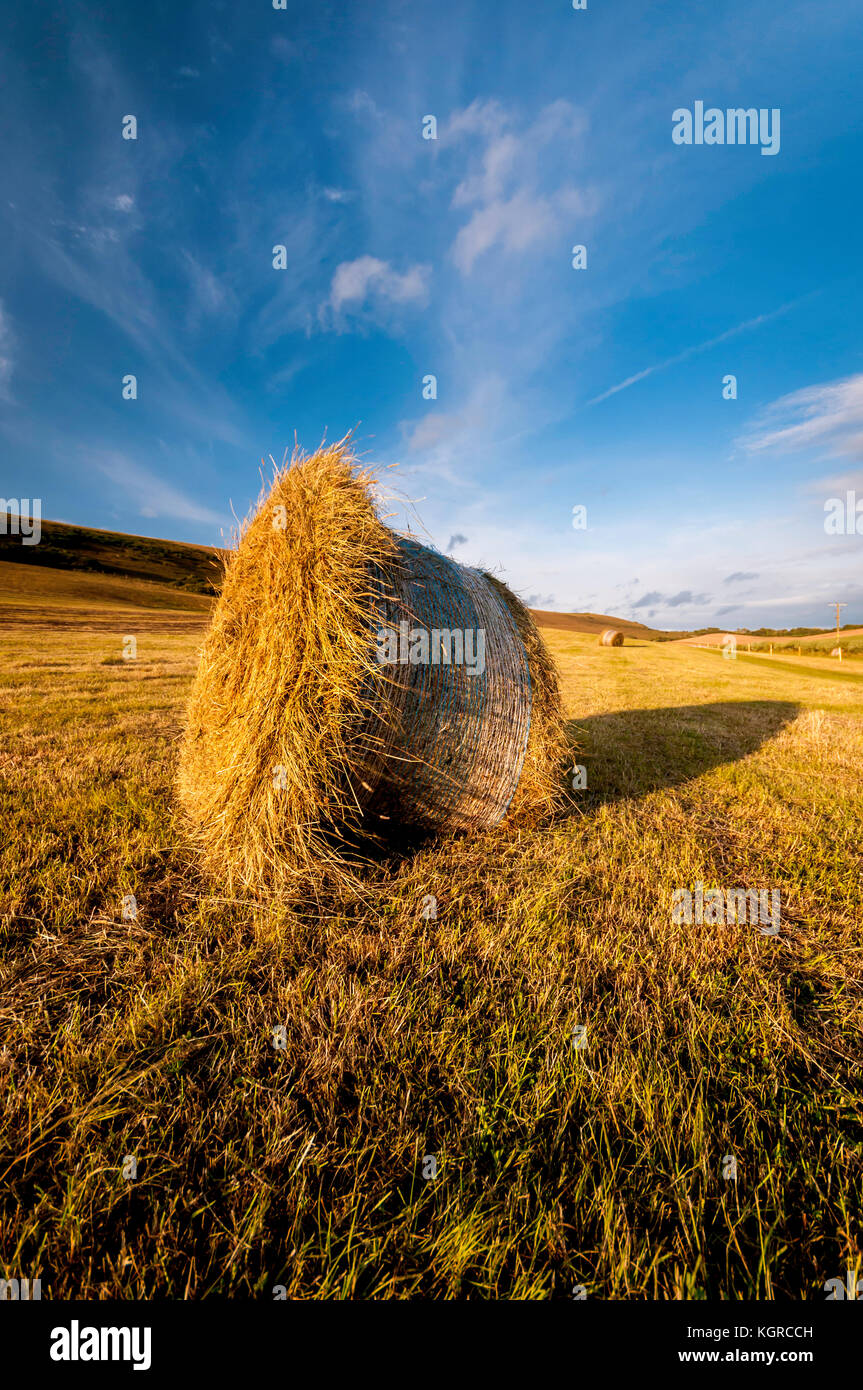 Golden hay bales hi-res stock photography and images - Alamy