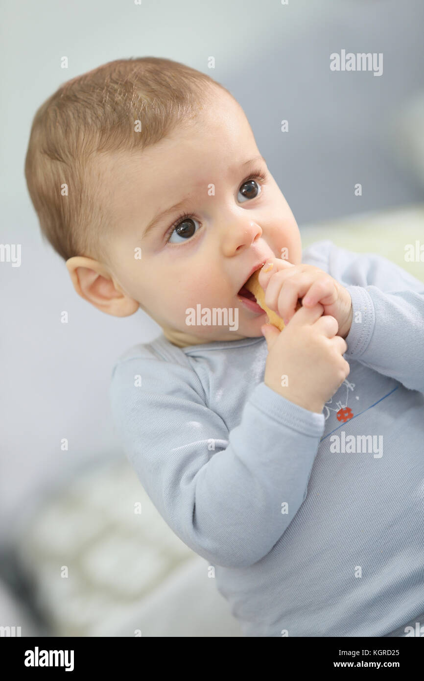 Portrait of cute baby boy eating child biscuit Stock Photo - Alamy