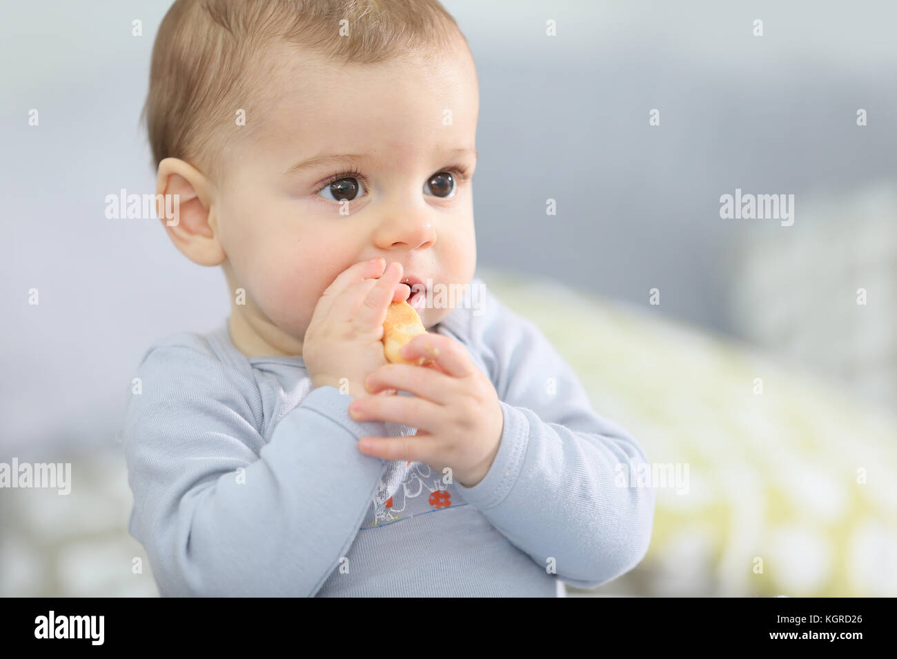 Portrait of cute baby boy eating child biscuit Stock Photo - Alamy
