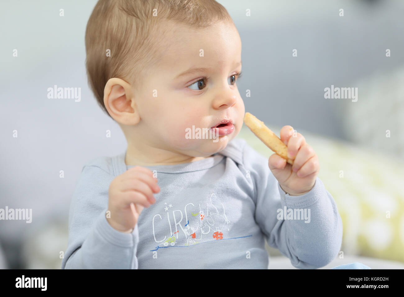 Portrait of cute baby boy eating child biscuit Stock Photo - Alamy