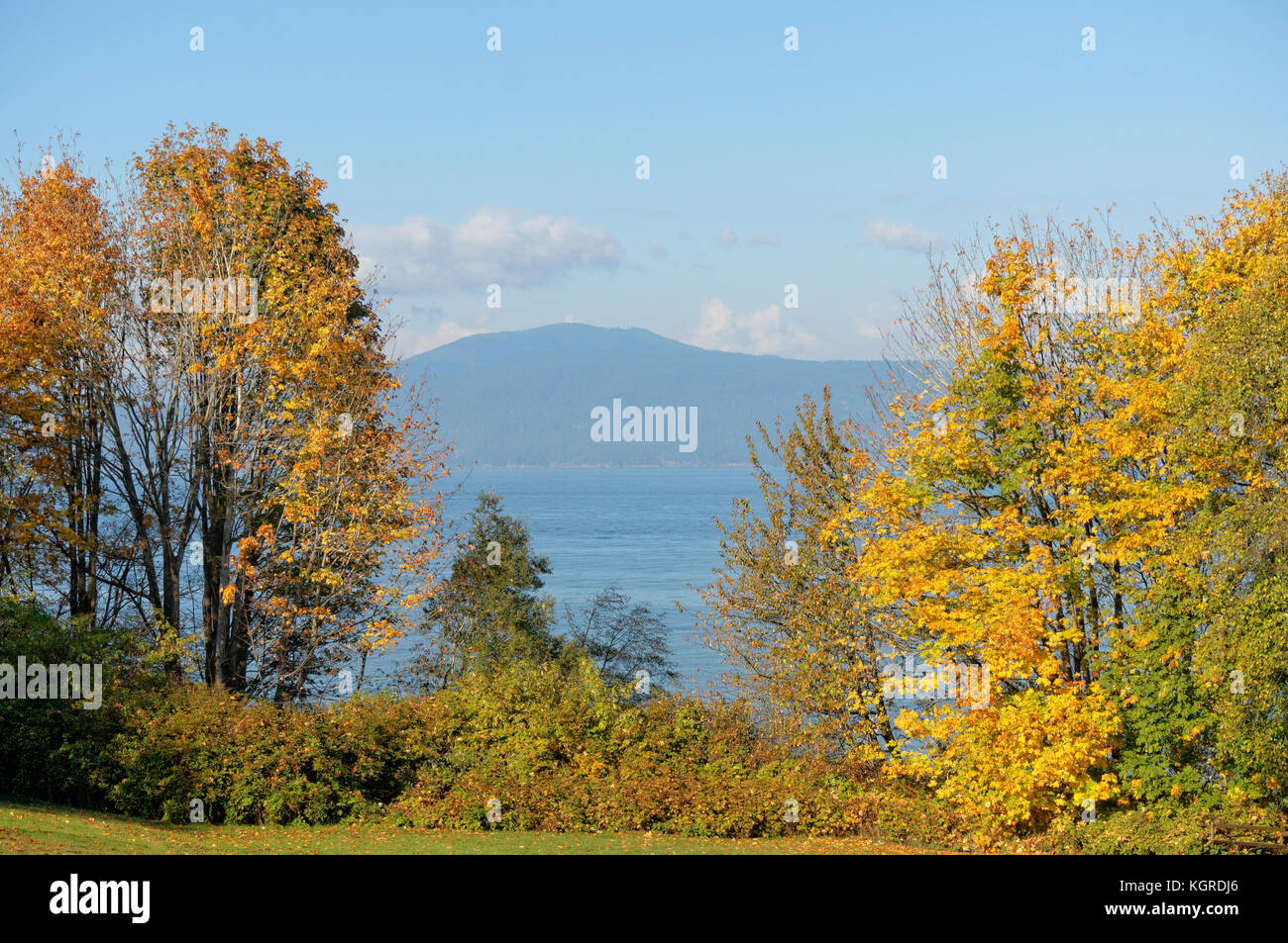 Deciduous trees hi-res stock photography and images - Alamy